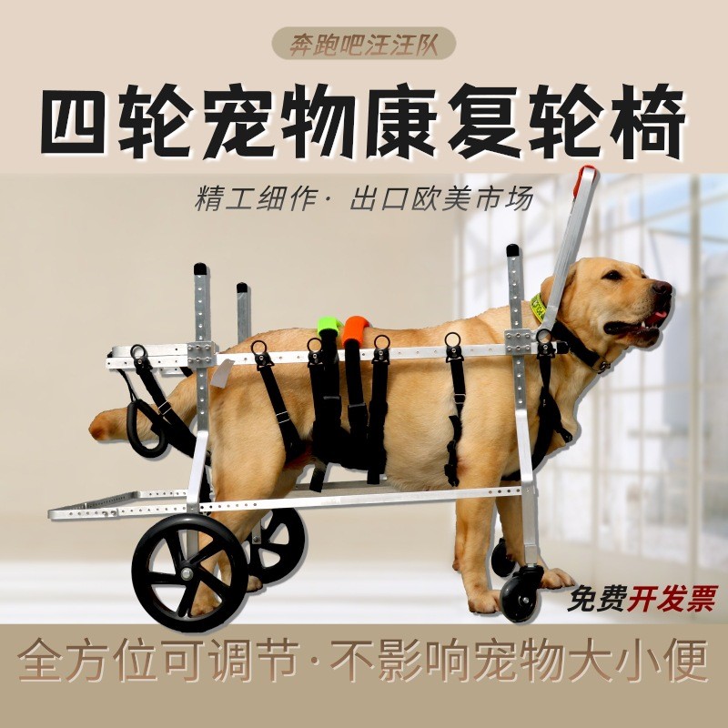 Paralyzed Dog Elderly Dog Wheelchair Labrador Alaska Golden Retriever ...