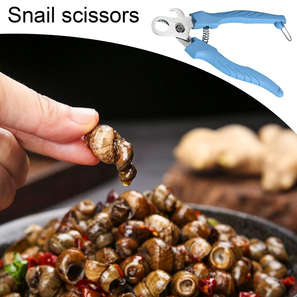 Oyster Cutting Field Snail Butt Artifact Not Slip Field Lion Tail ...