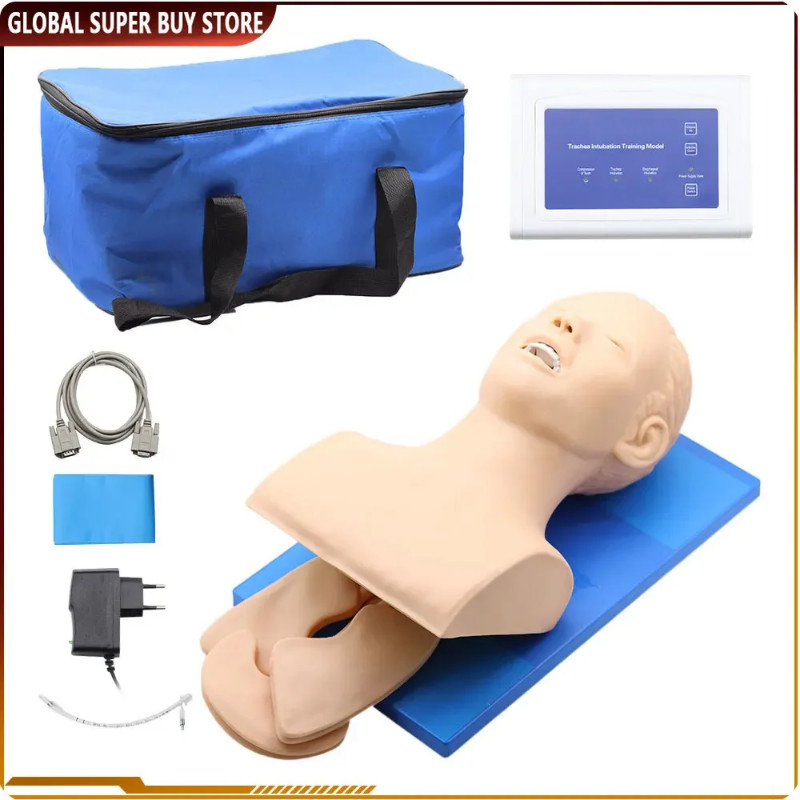 Endotracheal Intubation Human Model 220V Oral Nasal Intubation Airway ...