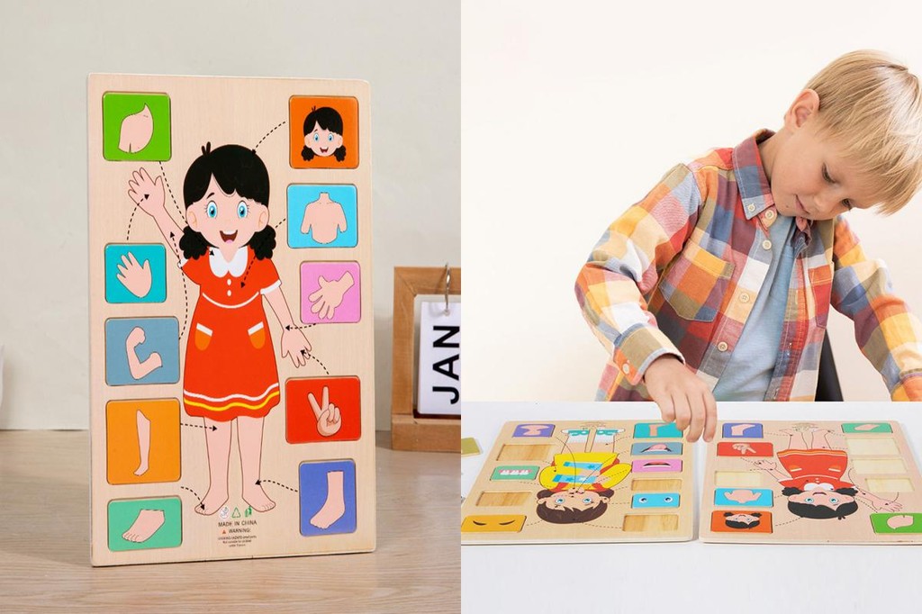 Yuxihon| Anatomy Puzzle Board Wooden Body Puzzle Wooden Body Puzzle ...
