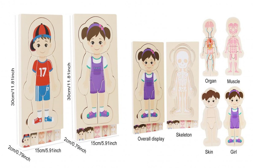 Educational Puzzle Board Wooden Body Puzzle 5-layer Human Body Anatomy ...