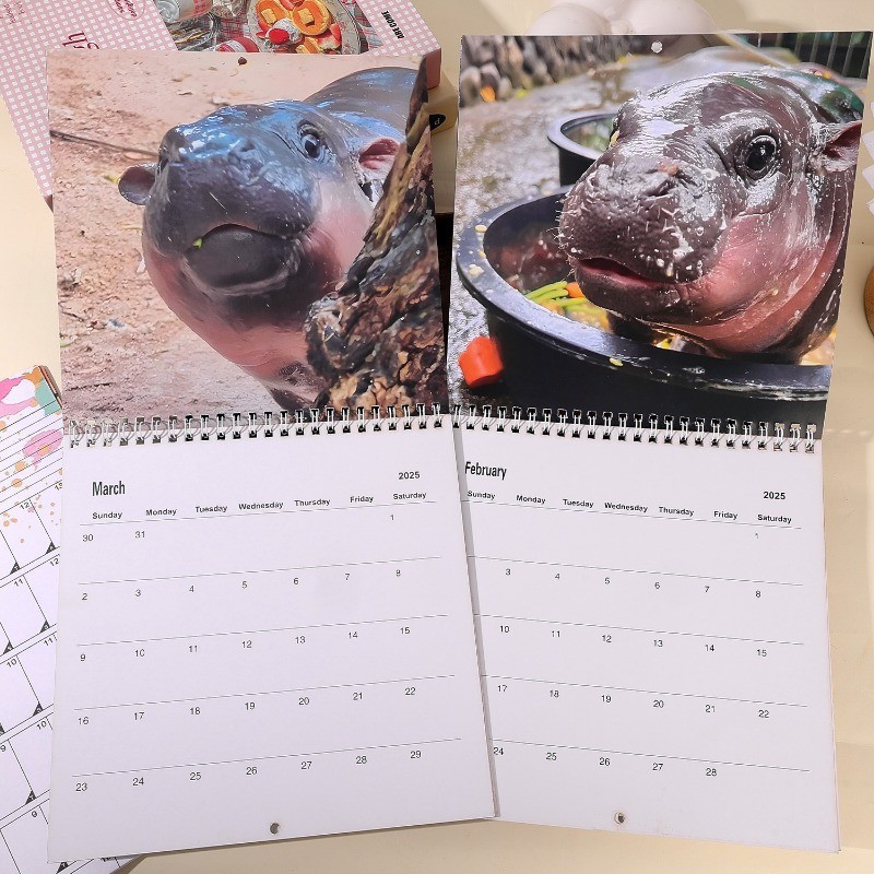 Exquisite Unique 2025 Copperplate Paper Page Turning Calendar- Simple ...