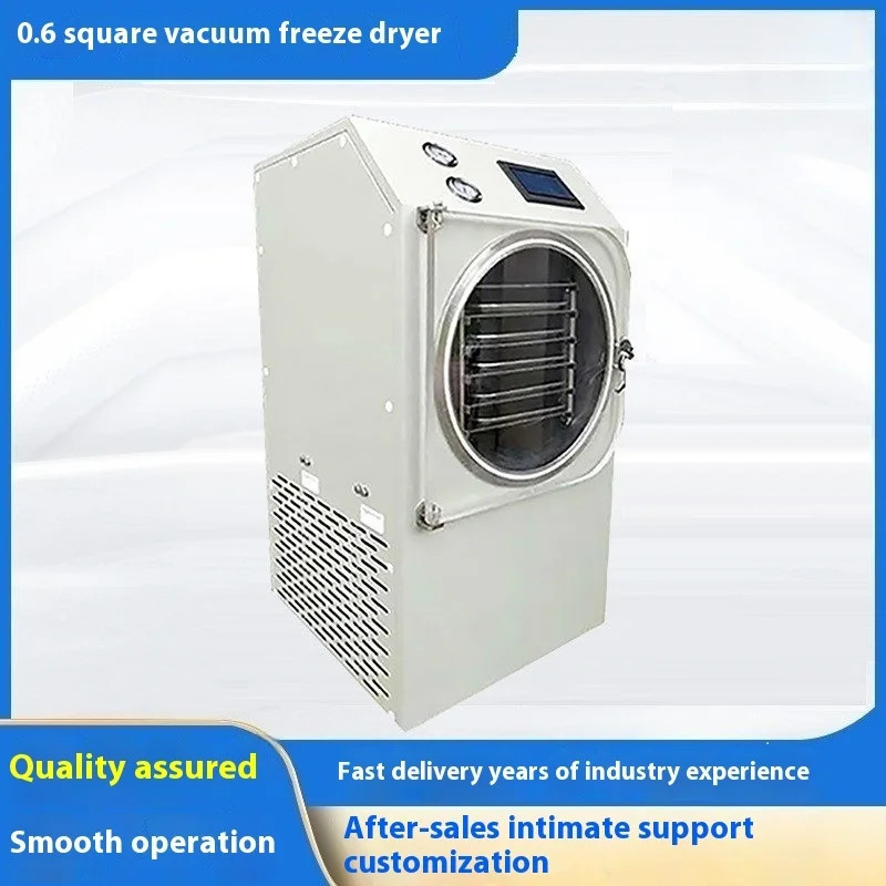 2025 New Freeze Dryer, Small Laboratory Vacuum Freeze Dryer, Fruit ...