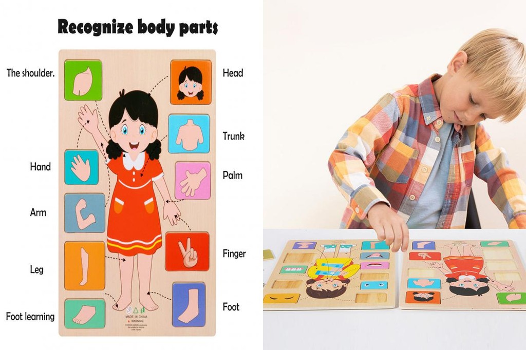Body Learning Toy Educational Anatomy Puzzle Wooden Body Puzzle Game ...