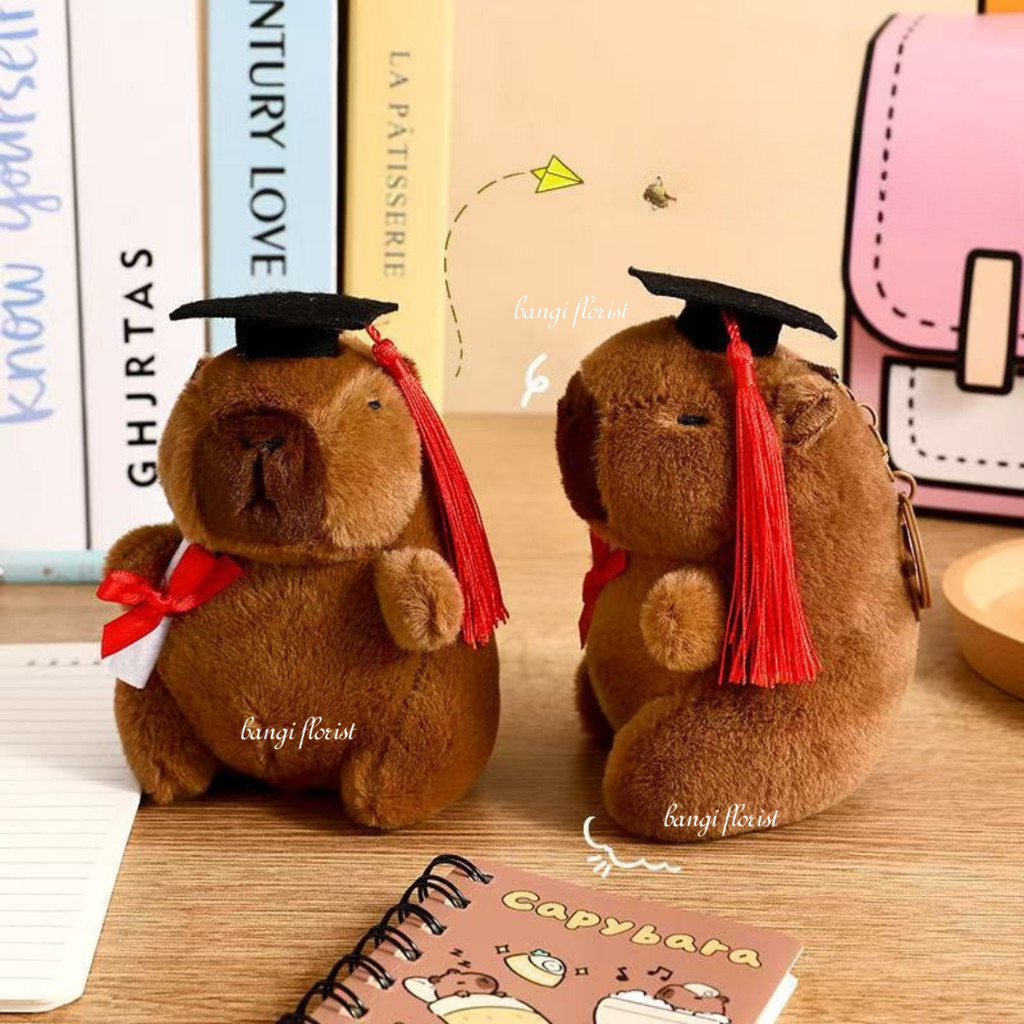 13cm CAPYBARA GRADUATION BEAR Plush Toy Cute Capibara Plushie Toy Anak ...