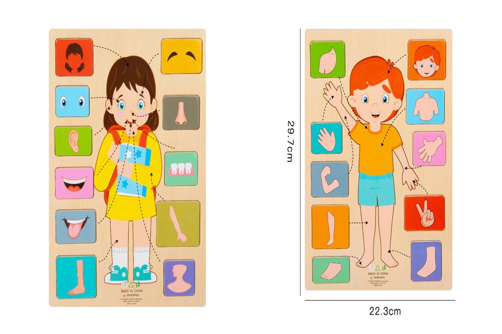 ALINA Wooden Body Puzzle Anatomy Learning Puzzle Wooden Body Puzzle ...