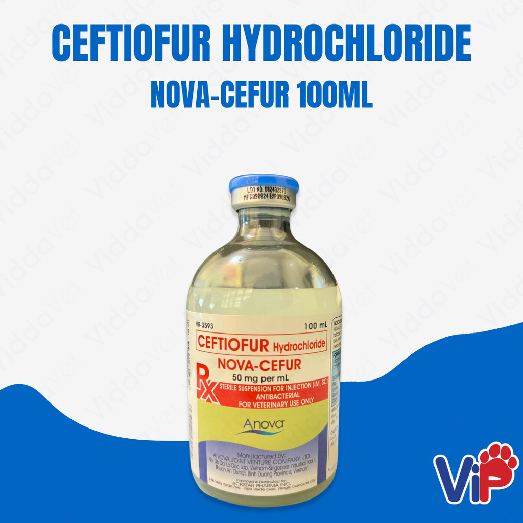 Nova-Cefur 100ml Ceftiofur HCl Inj.. Solution for Livestock | Shopee ...