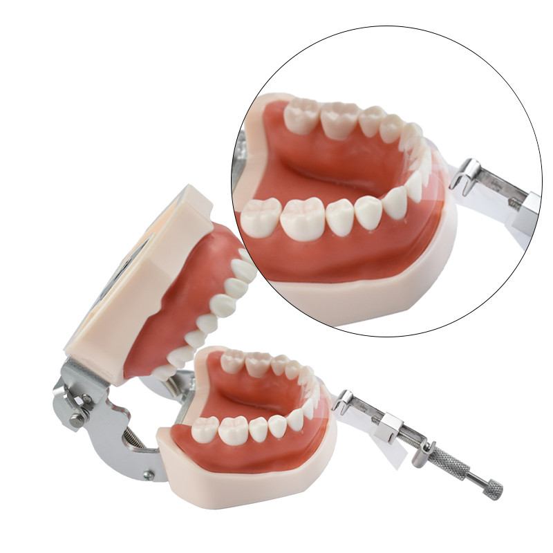 100Pcs/box Dental Clear Matrix Bands Polyester Contoured Matrices ...