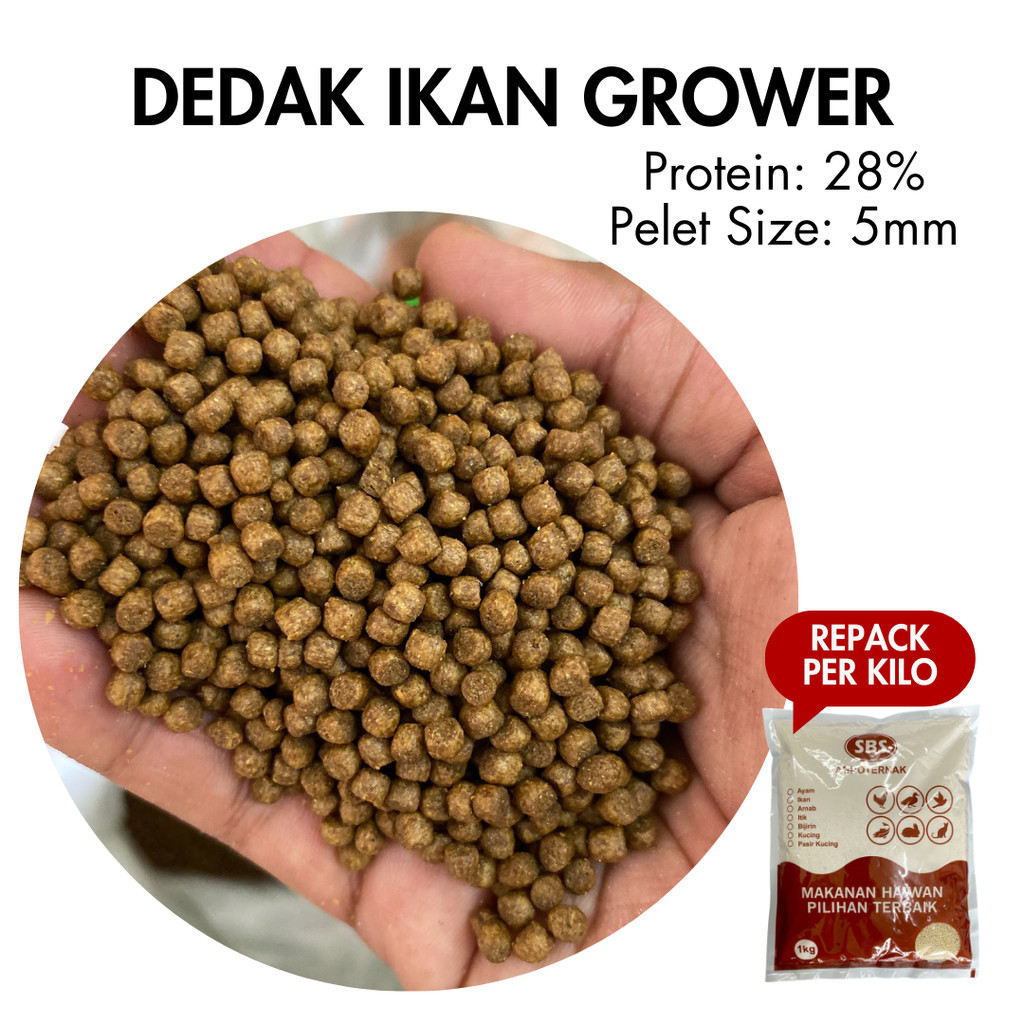 [1KG] DEDAK IKAN EKONOMI - TALAPIA, KELI | STARTER (32%) GROWER (28% ...