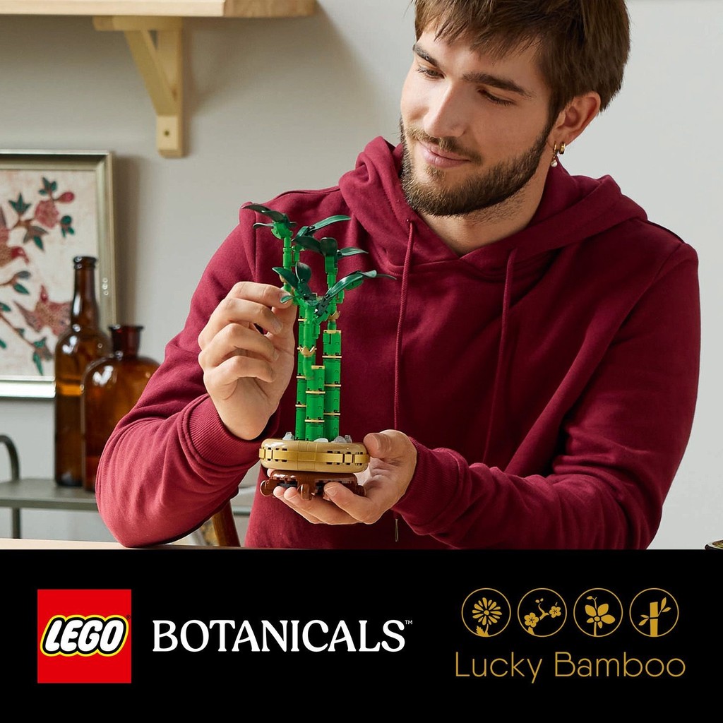 LEGO 10344 Botanicals Icons Lucky Bamboo Building Set (325 Pieces ...