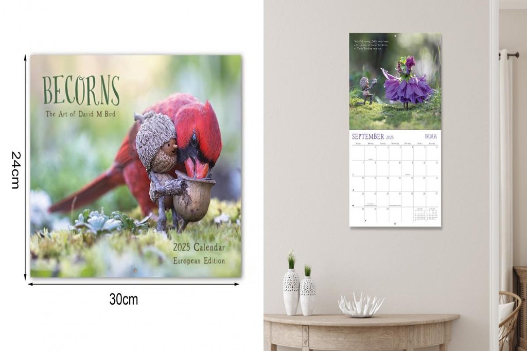 MORE Illustrated Bird Calendar 2025 Birds Wall Calendar 2025 Forest ...