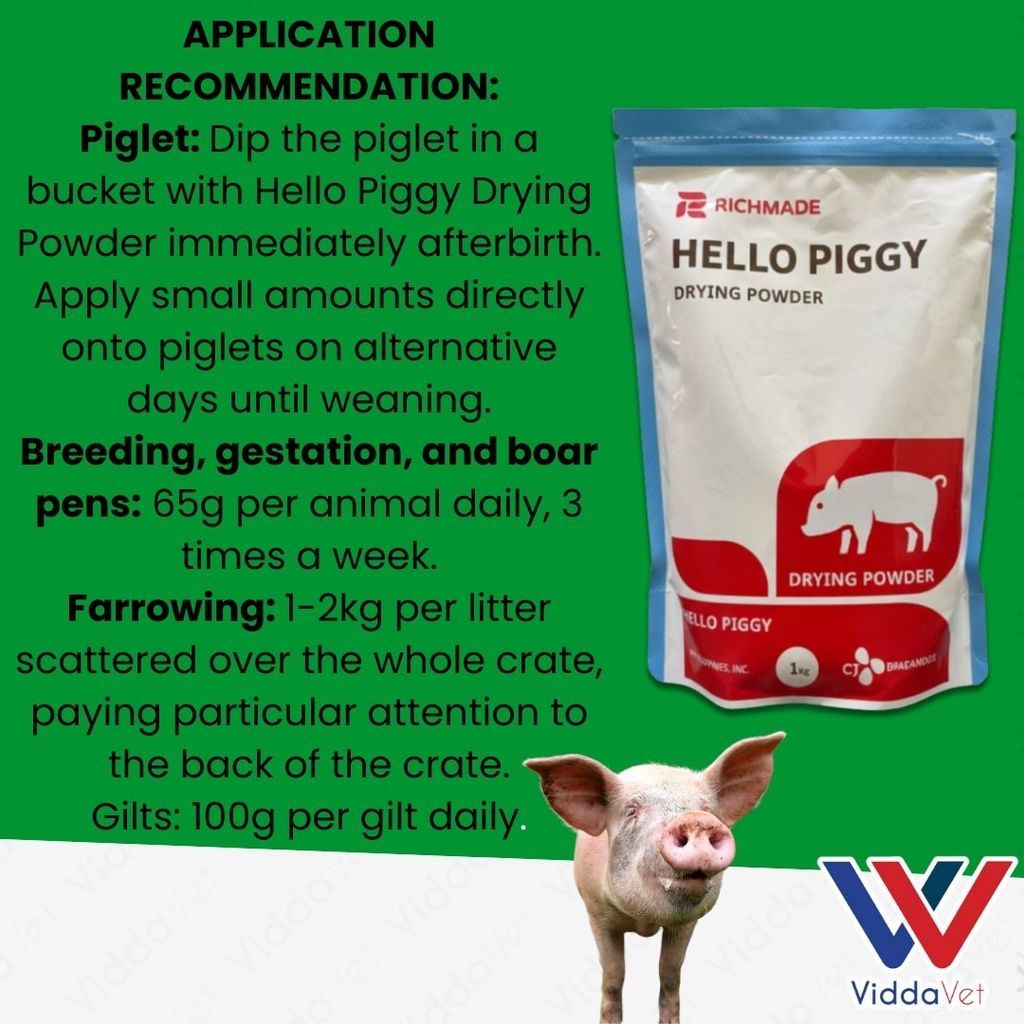 Hello Piggy Pig Drying Powder 1KG Richmade for Newborn Piglets Farm ...