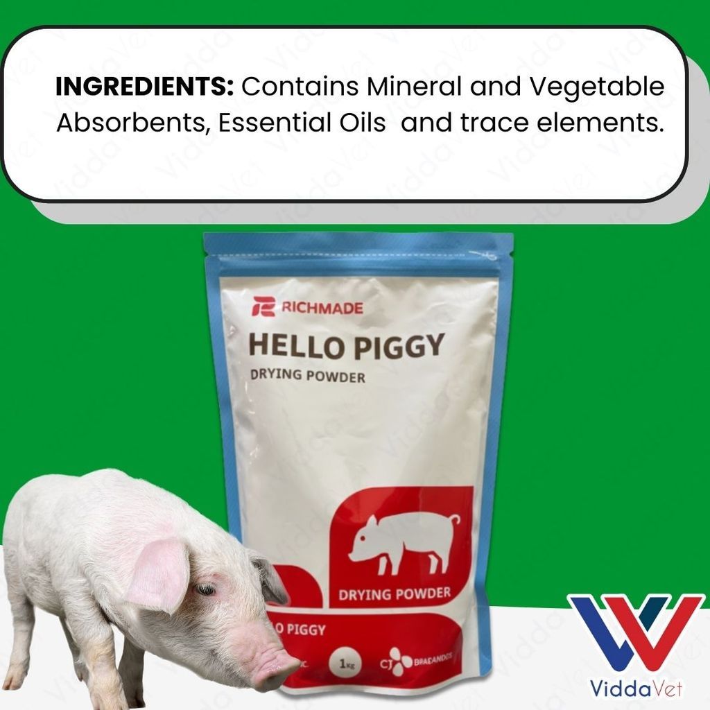 Hello Piggy Pig Drying Powder 1KG Richmade for Newborn Piglets Farm ...