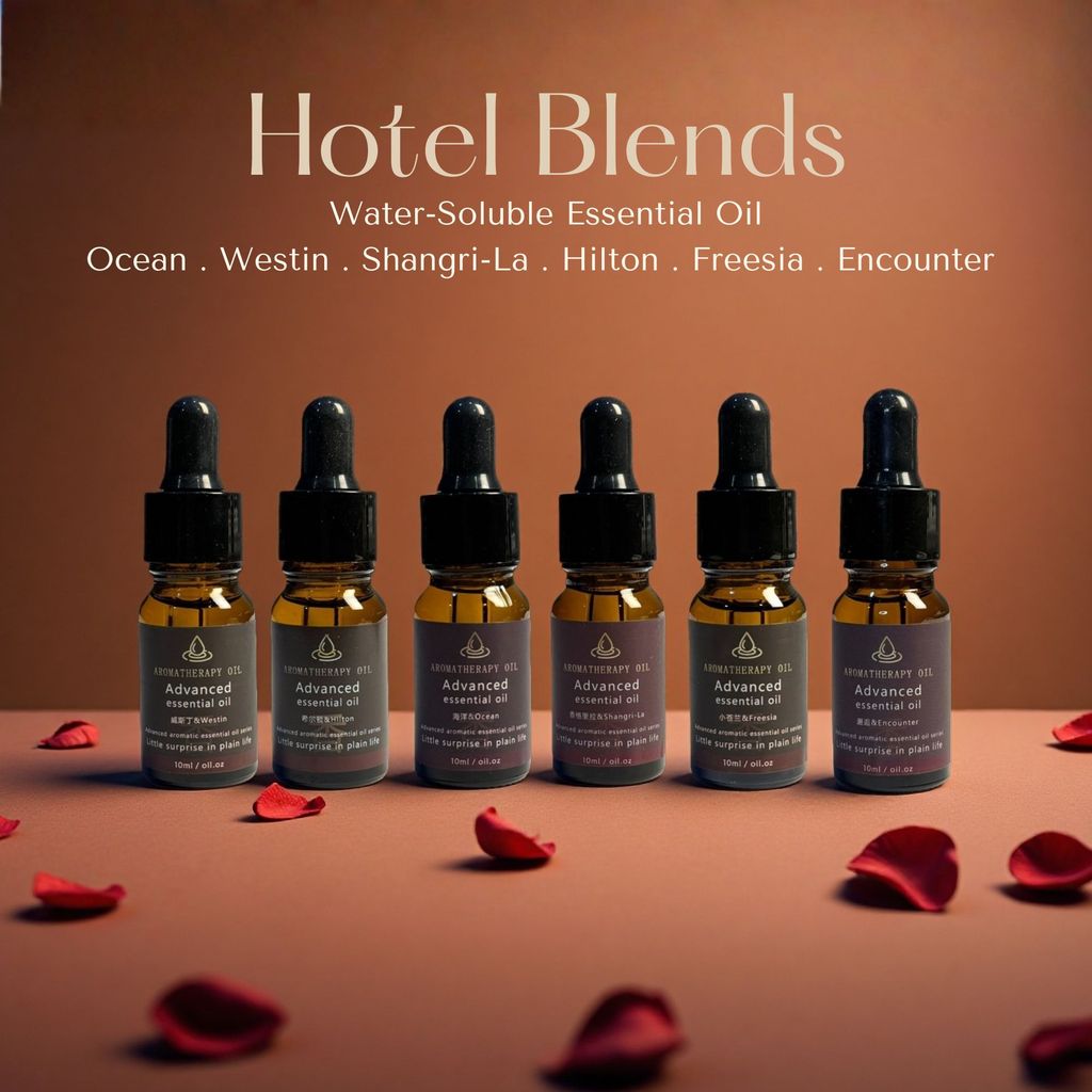 Essential Oil Set of 6 Hotel Blends 10ml Water Soluble Fragrance ...