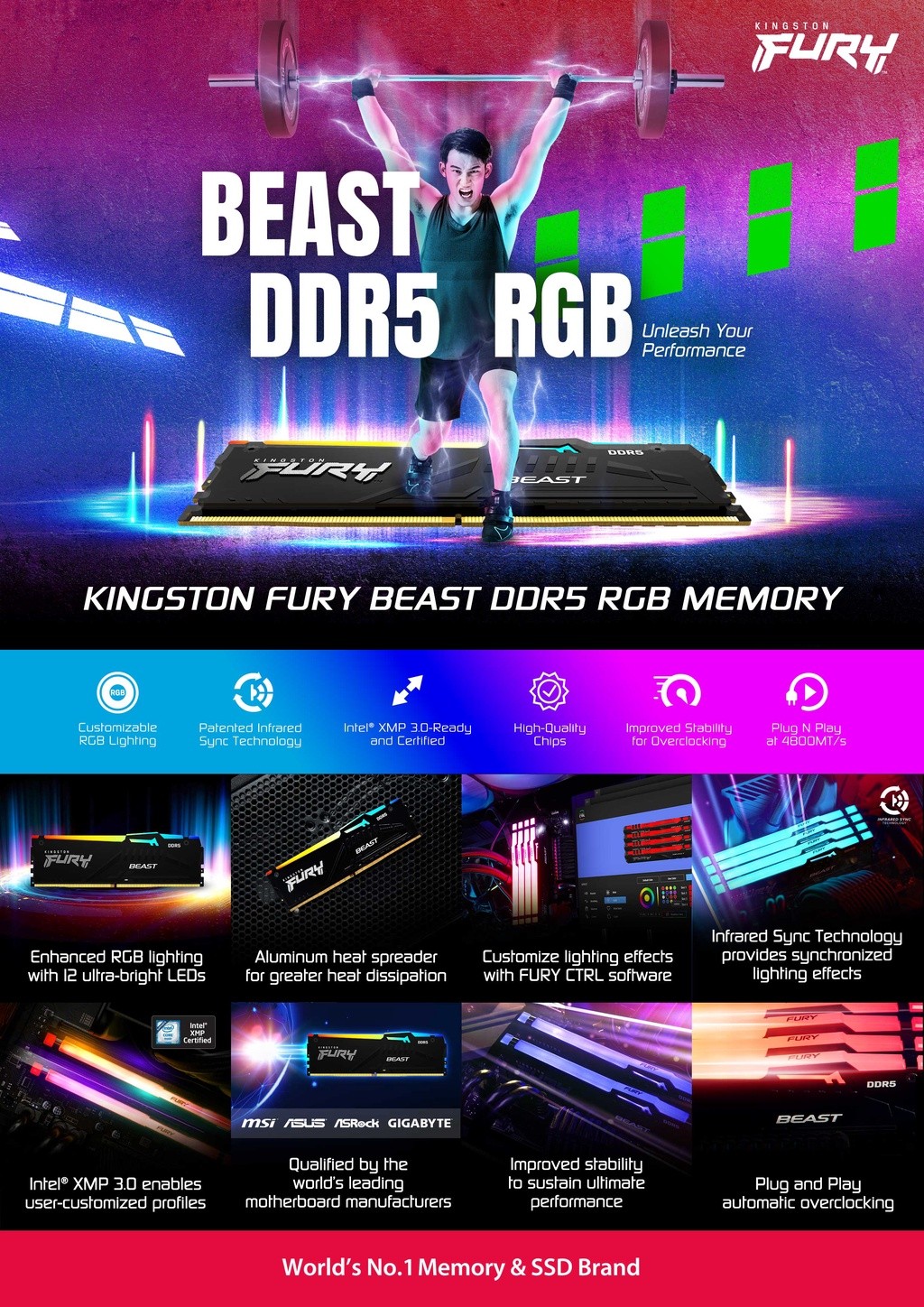 Kingston Fury Beast / Fury Beast RGB DDR5 AMD EXPO 6000MHz Desktop AMD ...