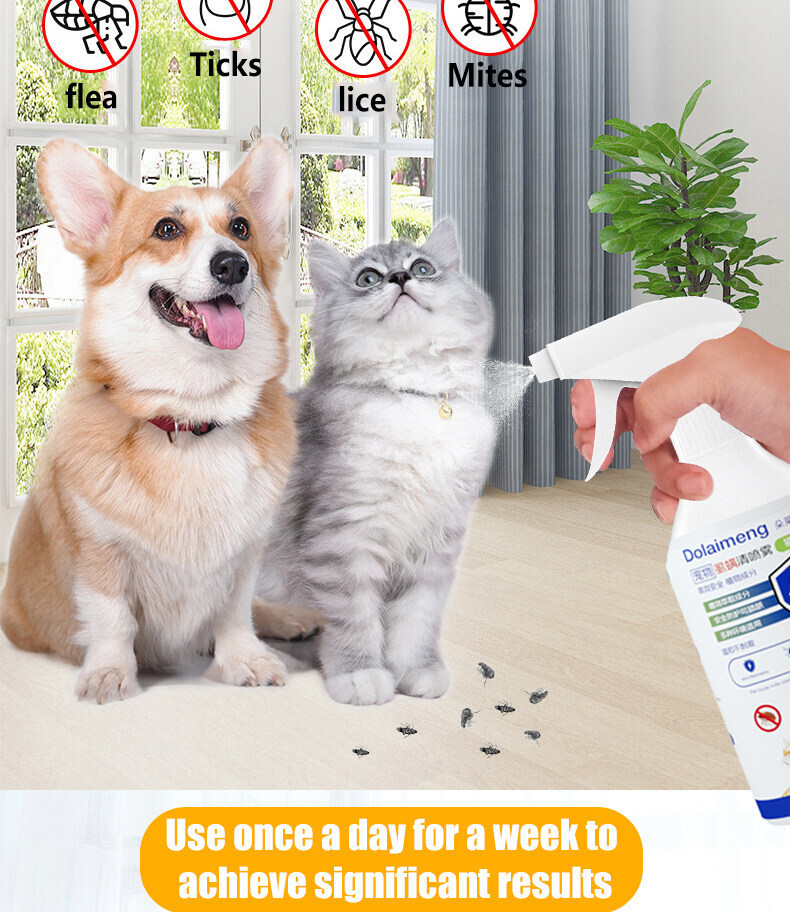 Kill all kinds of parasites in 1 second Dog and ubat kutu kucing paling ...
