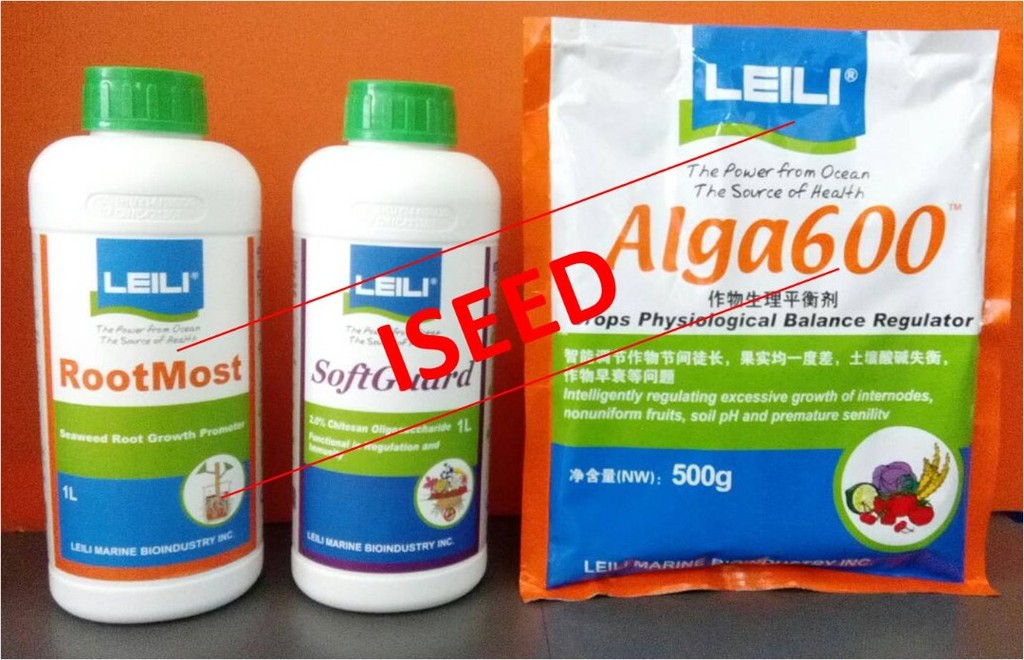 LEILI SOIL HELPER (ALGA600, SOFTGUARD, ROOTMOST) | Shopee Malaysia