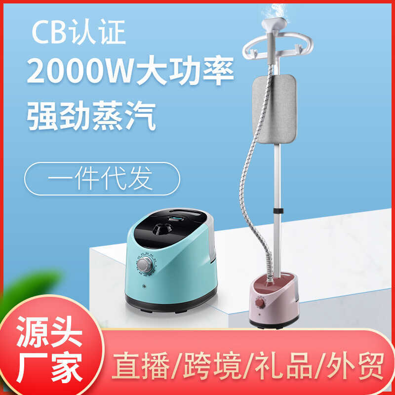 Vertical Garment Steamer Household Steam Iron Flat Hanging Wet Dry Dual ...