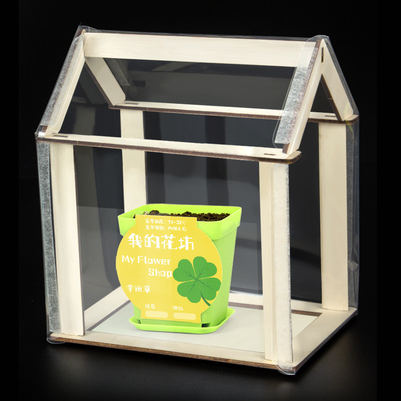 Greenhouse Small Diy Plant Kit With Multiple Materials For Science ...