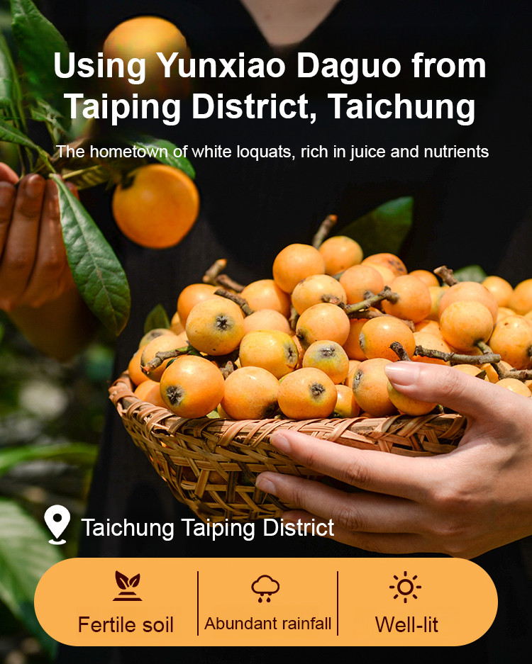 Office Essential | Original Flavor Dried Loquat - Seedless, All-Natural ...