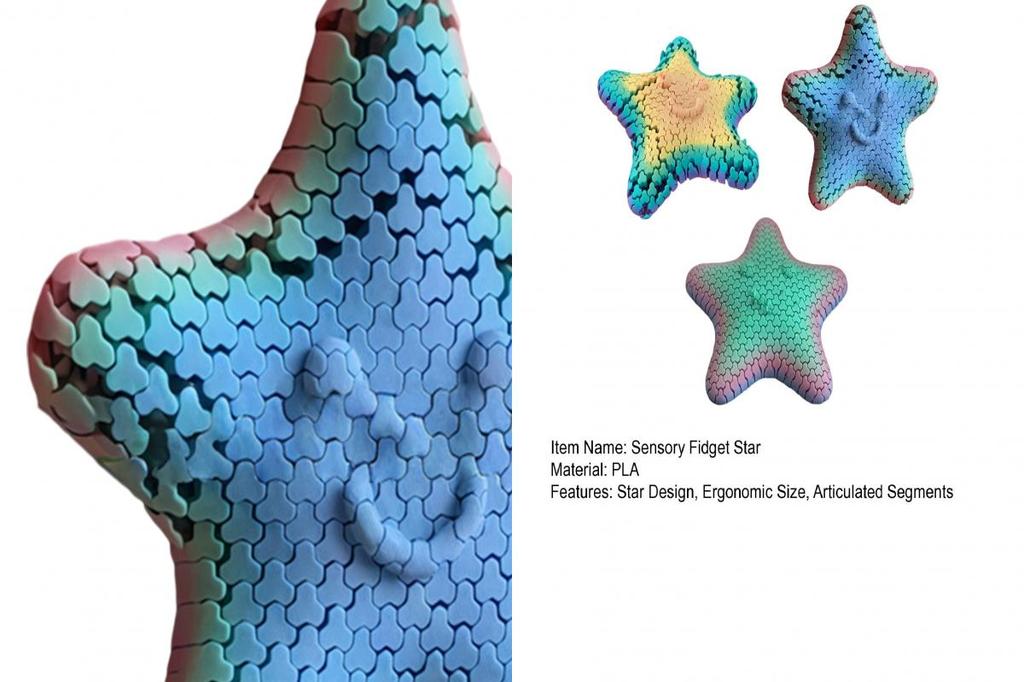 Focus and Calm Toy Hand Therapy Toy Sensory Fidget Star 3d Printed ...