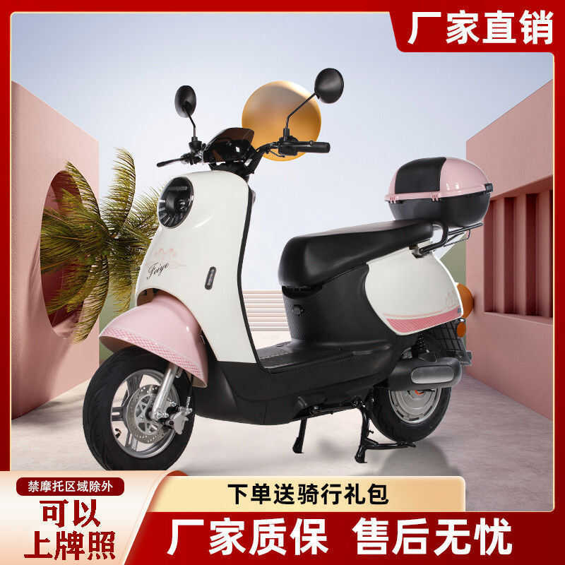 Little Beetle 2025 Two-Wheel Electric Vehicle 60V Standard Electric ...