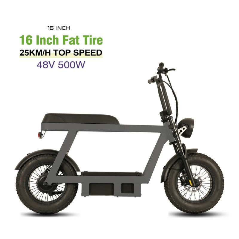 Fat Tire City Coco Electric Motorcycle Halley Electric Scooter ...