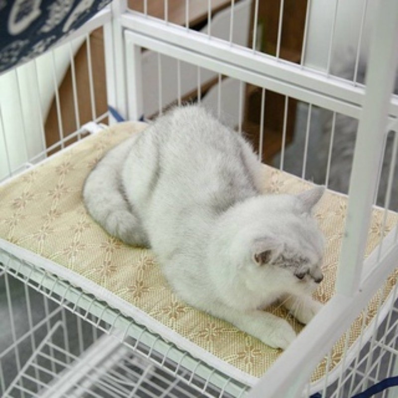 Mson pet Summer Cat Mat Pet Double Layer Cooling Mat Pet Cat Breathable ...