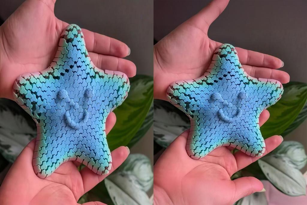 Focus and Calm Toy Hand Therapy Toy Sensory Fidget Star 3d Printed ...
