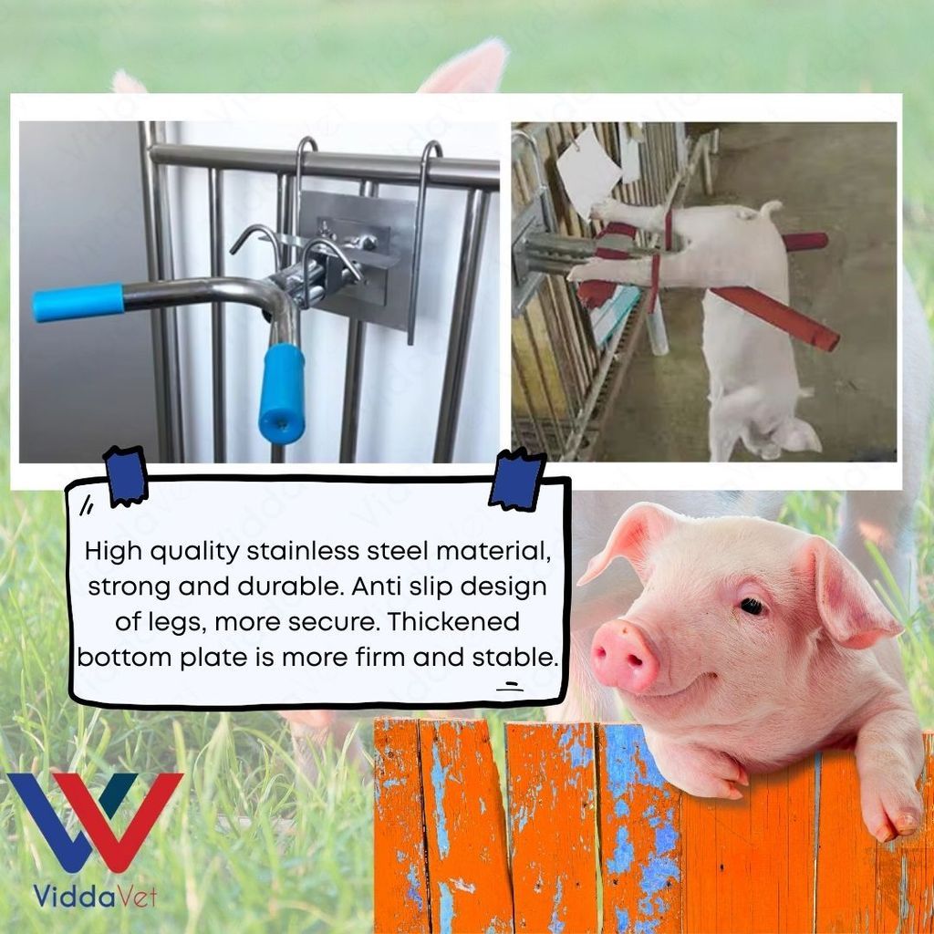 Farm Use Castration Hang Type Big for Comfortable Handling and Reliable ...