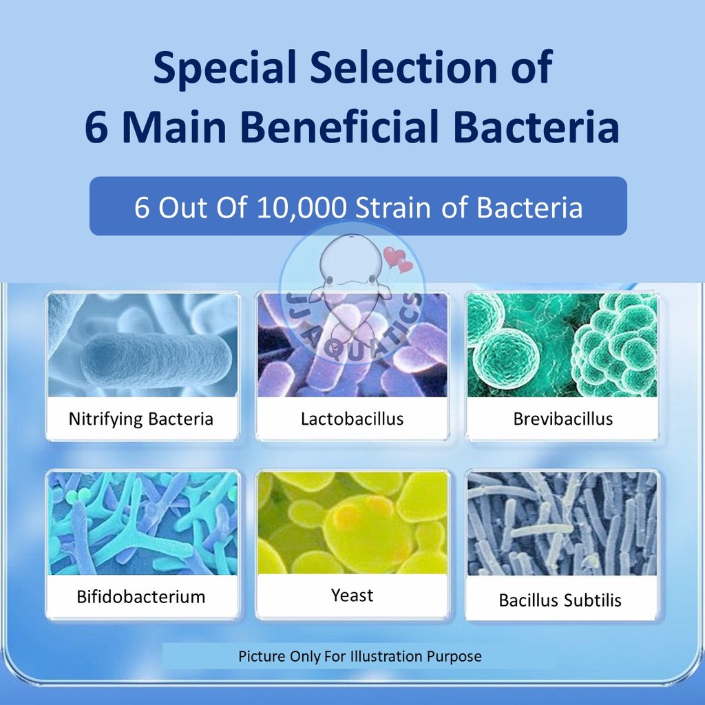 YEE New Upgrade Live Bacteria Nitrifying Bacteria 5th Generation Purify ...
