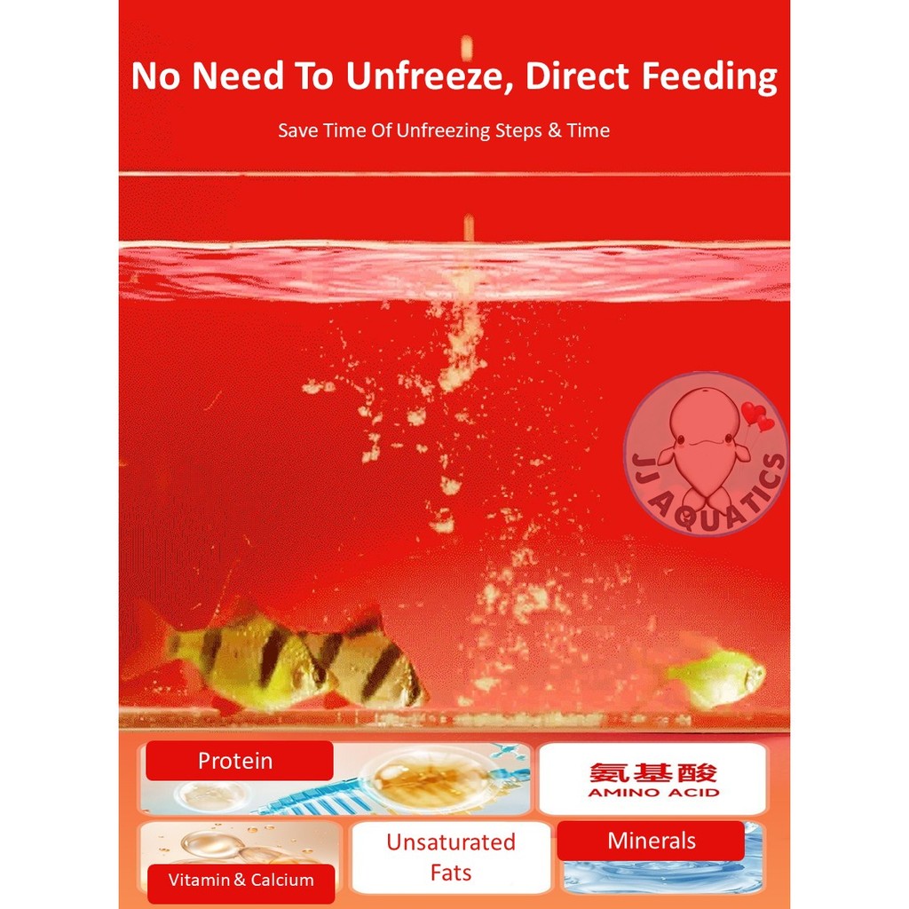 YEE High Protein Daphnia Magna Water Flea Kutu Air Fish Super Food Fish ...