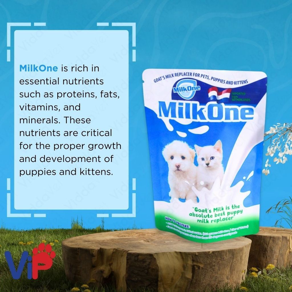 MilkOne Goats Milk Replacer 250 Grams Easy to Digest Milk for Young ...
