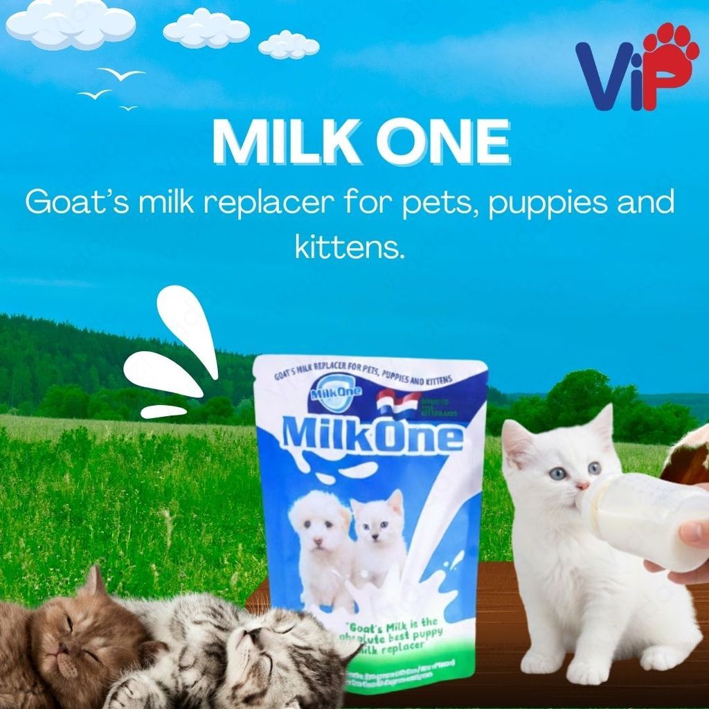 MilkOne Goats Milk Replacer 250 Grams Easy to Digest Milk for Young ...