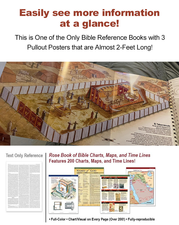 【Durable Laminated Material】【Easy Visual Learning】Local Stock Location ...