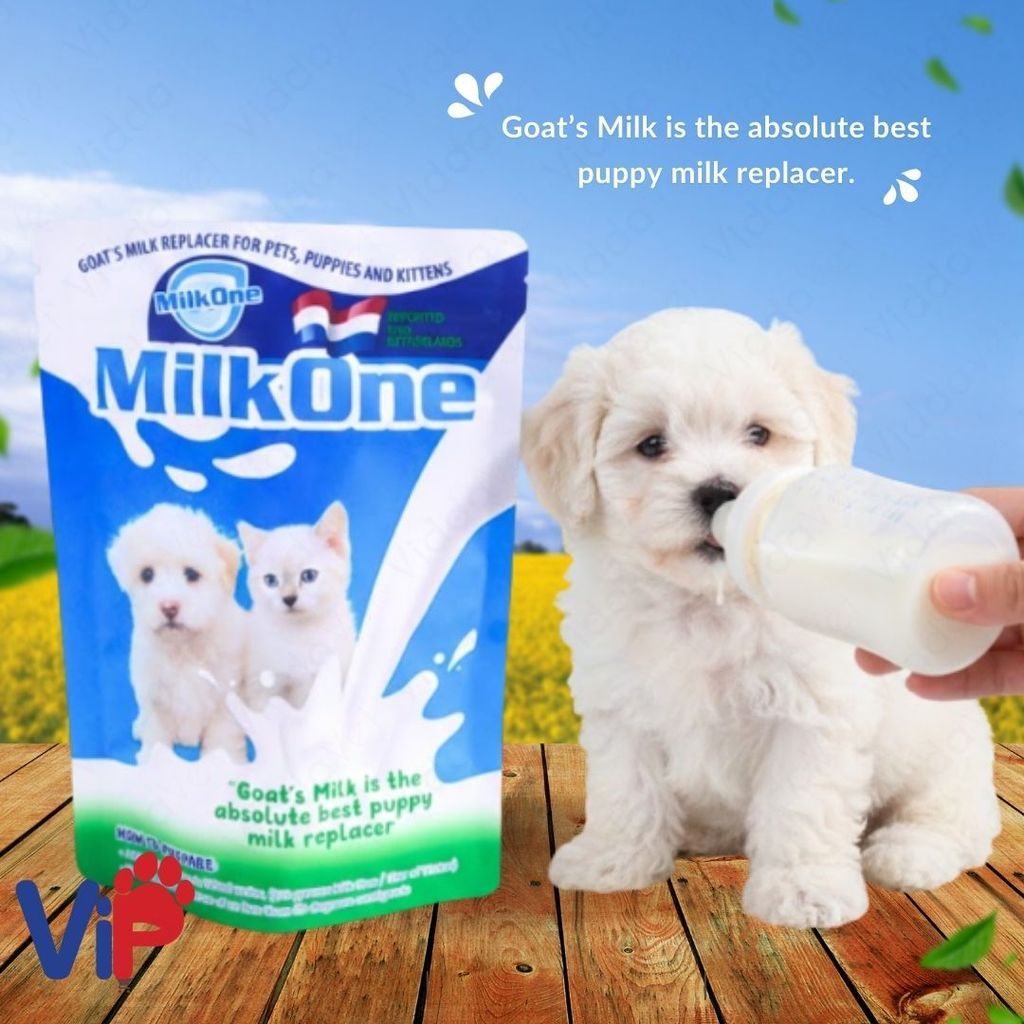 MilkOne Goats Milk Replacer 250 Grams Easy to Digest Milk for Young ...