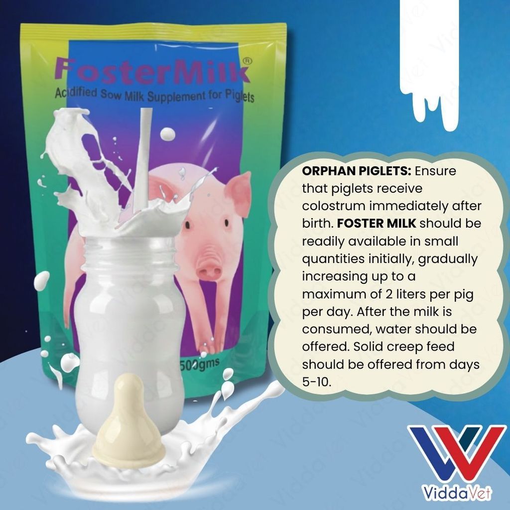 Foster Piglet Milk Supplement 500g Complete Nutrition for Young Piglets ...