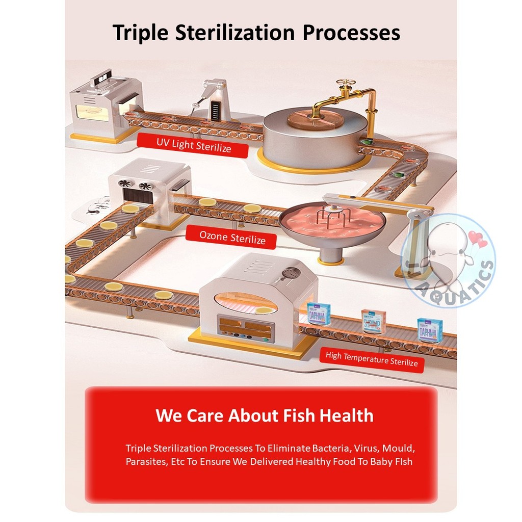 YEE High Protein Daphnia Magna Water Flea Kutu Air Fish Super Food Fish ...