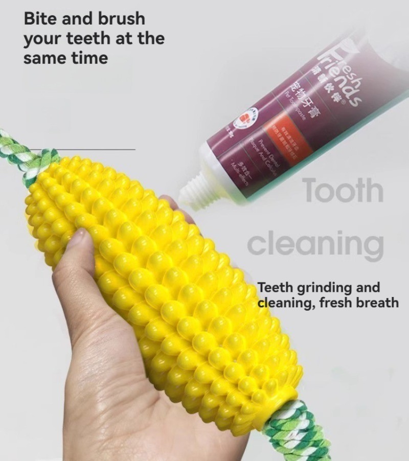 【CHEWBRUSH】Toothbrush Dog Toy - Self Brushing Chewer Dog Puppy Chewing ...