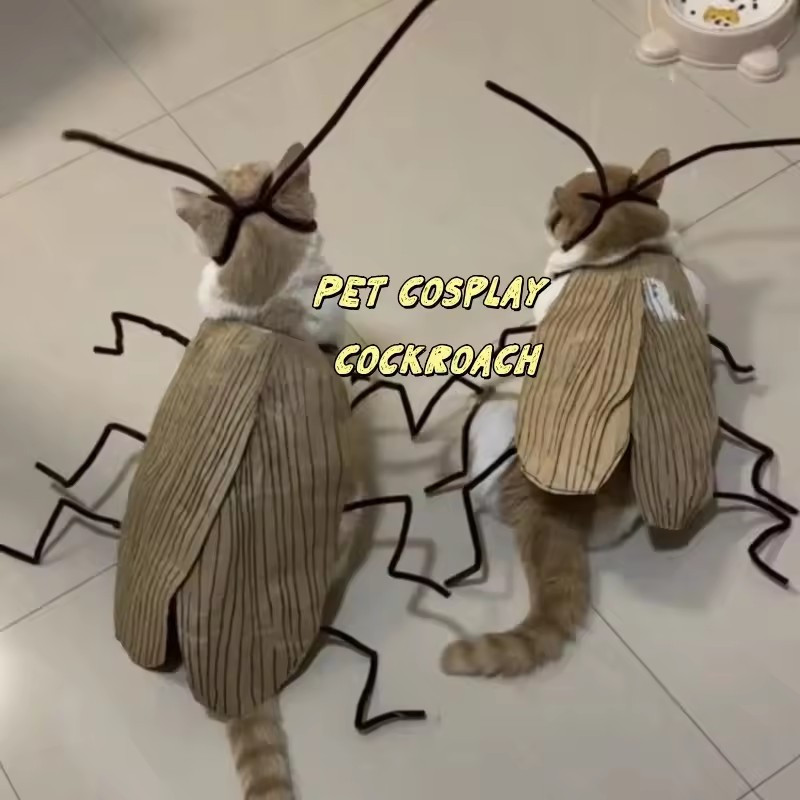 3 Sets Funny Cat Roaches Clothes Kit - Kitten Halloween Cosplay Outfit - DIY Pet Dress Up ...