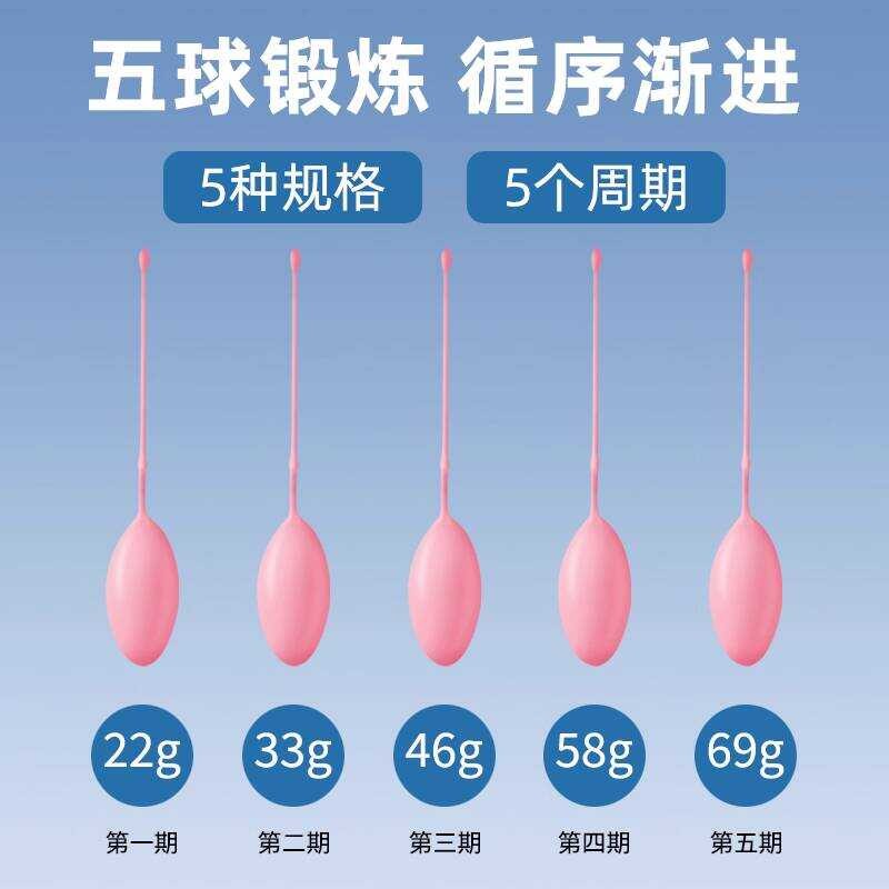 Pelvic Bottom Muscle Repair Instrument Postpartum Home Vagina Dumbbell ...