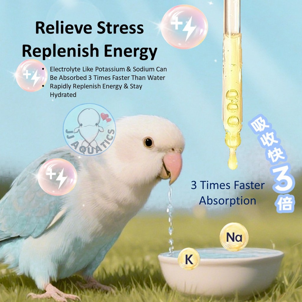 Jonsanty Parrot Birds Fruit Extract Multivitamin Nutrient Solution ...