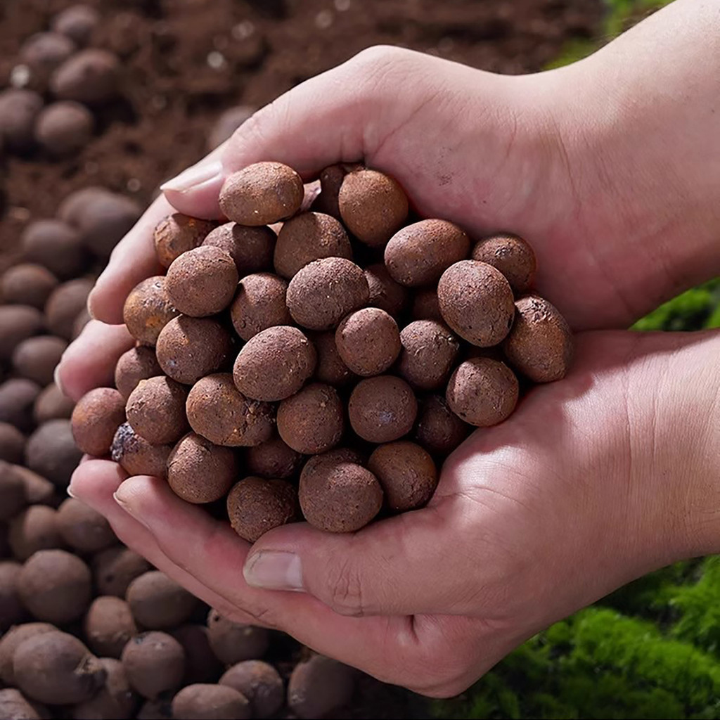 500G/1KG HydroStone 8-16MM Hydrokorrels Leca Ball for Plant Clay Clay ...