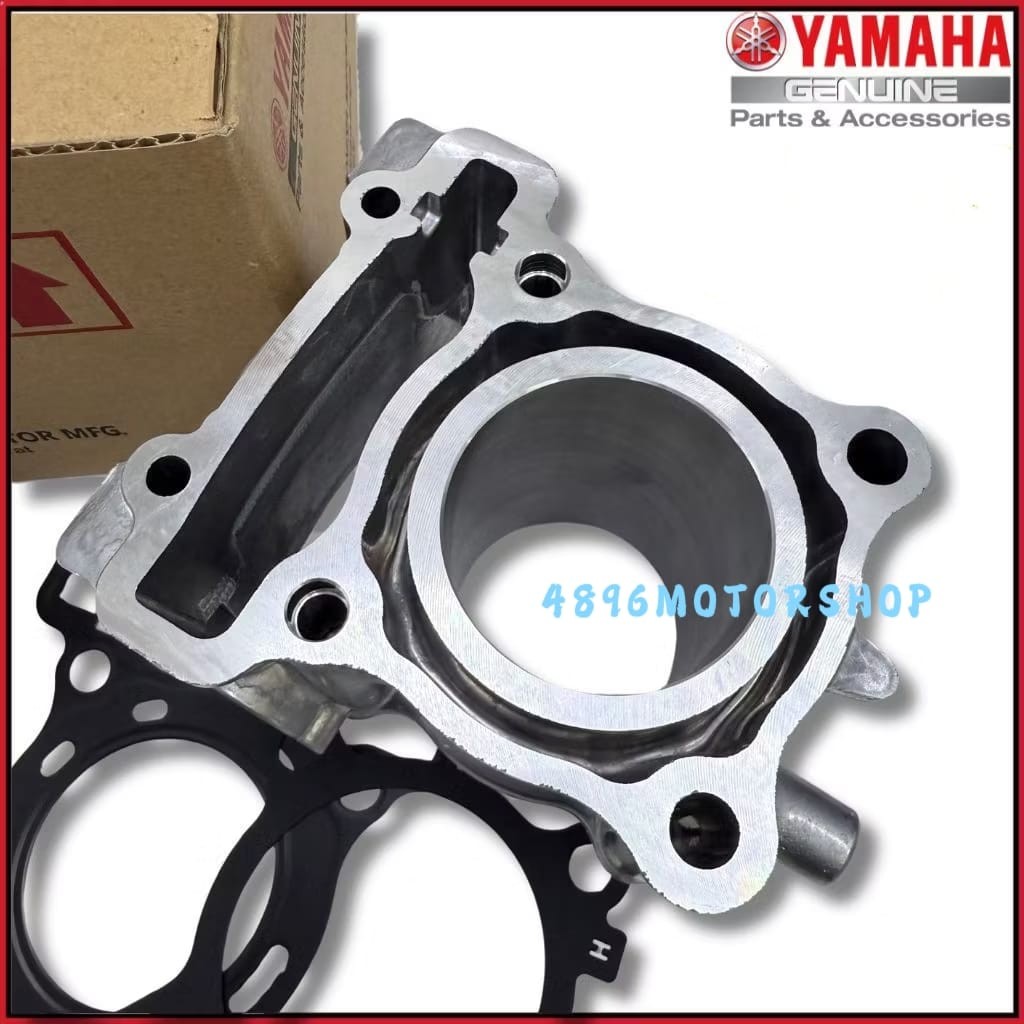100% ORIGINAL HLY NMAX N-MAX V2 / NVX V2 CYLINDER BLOCK SET BDL-WE13-00 ...