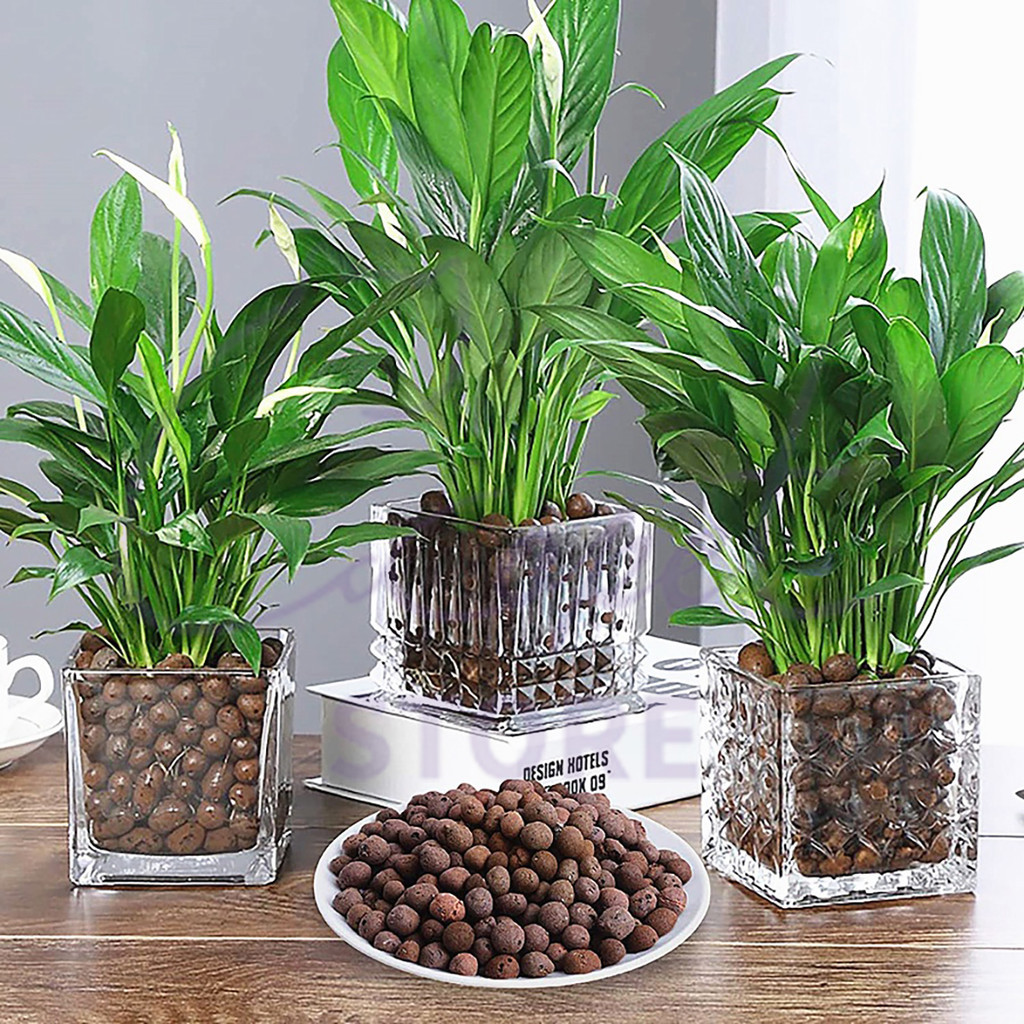 500G/1KG HydroStone 8-16MM Hydrokorrels Leca Ball for Plant Clay Clay ...