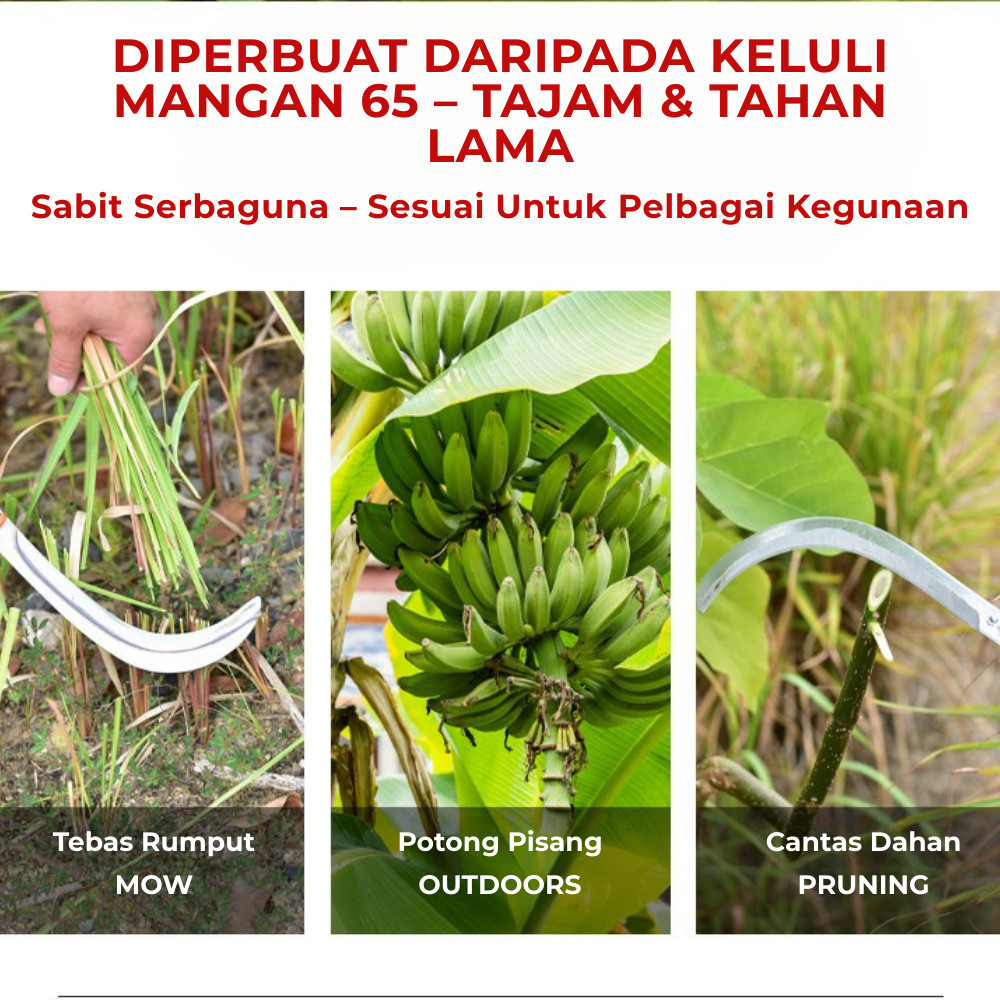 Sabit Pisang Batang Besi, Daun Pisang, Sabit Rumput, Keluli SK5 Jepun ...