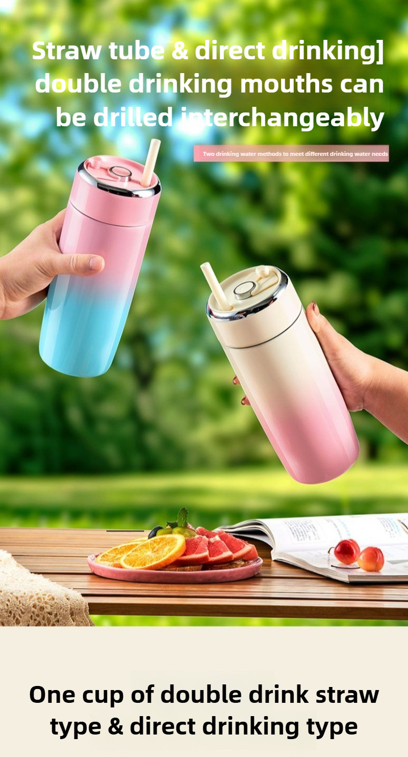 304 Stainless Steel Portable Juicer Blender 500ml Fruit Blender Ice ...