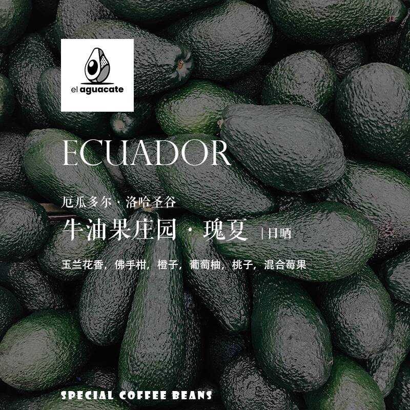 Quality Formula Coffee Beans Ecuador Avocado Manor Geisha Geisha Sun ...