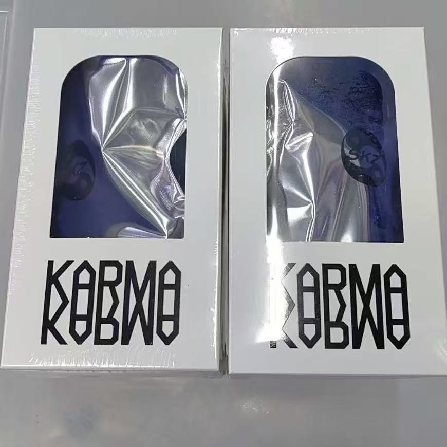 Kpop Idol Stray Kids THE 4th Album KARMA SKZOO Ver. Gift Box Set ...