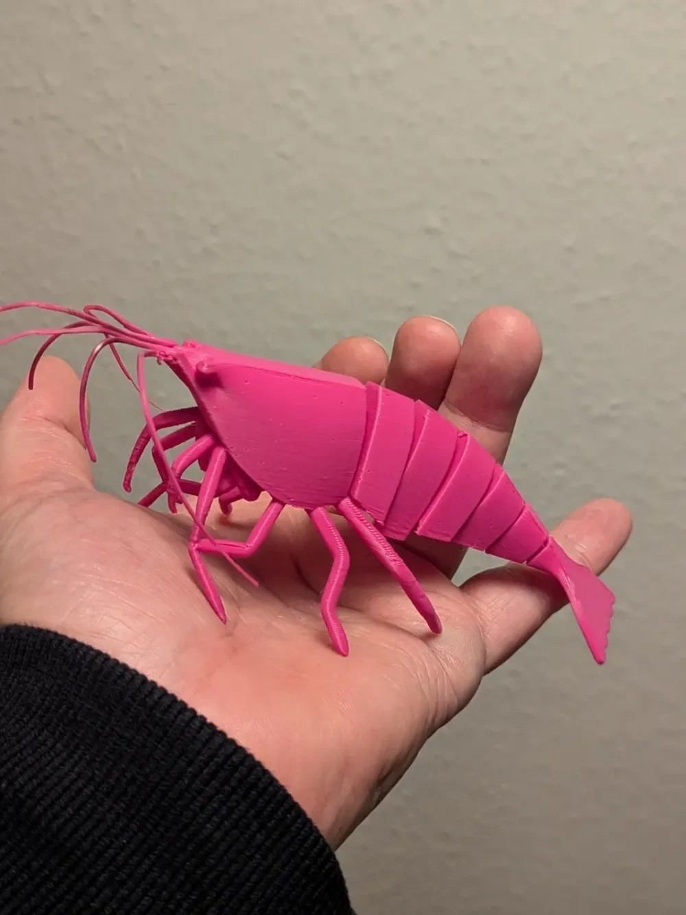 [Meow.Sensei] Seafood Model Movable Joint Shrimpware Toy | Shopee Malaysia